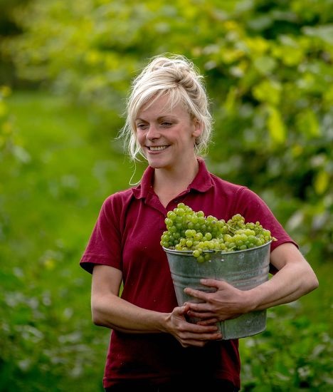 Events in The Vaults | The Angel, Luxury Hotel in Suffolk